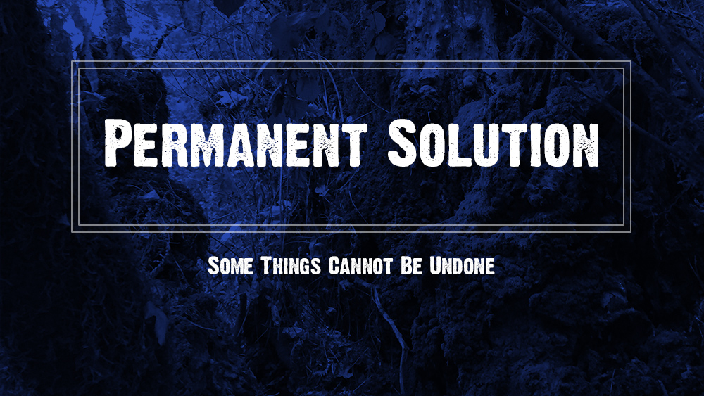Permanent Solution – Story McStoryface